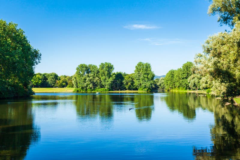 Het Park Van Rheinaue In Bonn, Duitsland Stock Afbeelding - Afbeelding ...