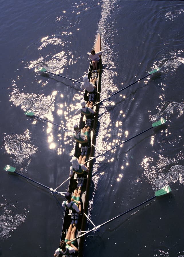 Het roeien stock afbeelding. Image of boot, energie, reis - 2191683