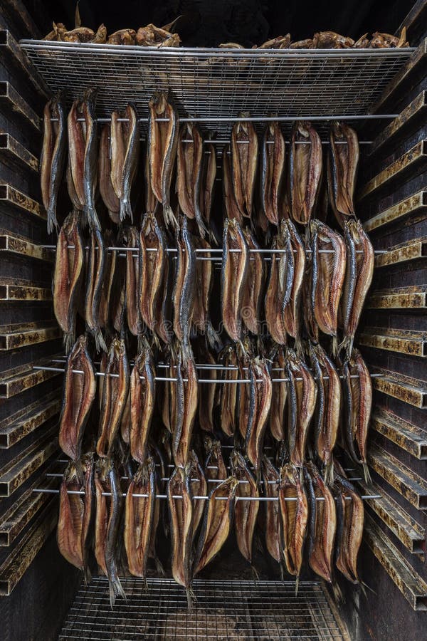 Het Roken Vissen - Gerookte Haringen Stock Foto - Image of knikken ...