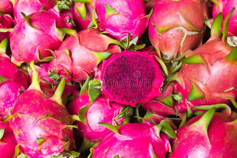 Het Roze Fruit Van De Draak Stock Foto - Image of roze, draak: 25487506