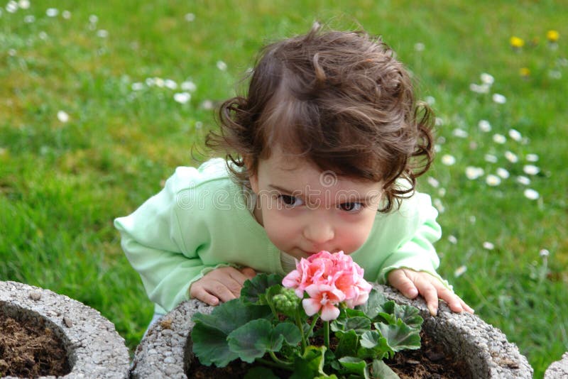 Het ruiken stock foto. Image of spontaneïteit, geur, spontaan - 4600674