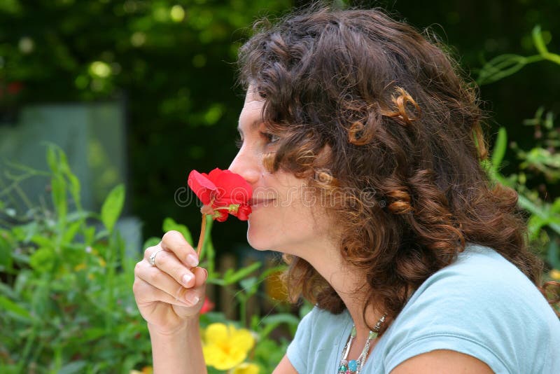 De Ruikende Bloem Van Het Meisje Stock Afbeelding - Image of gevoel ...
