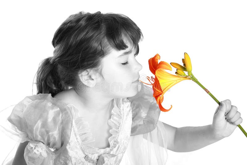 Aan een bloem ruiken stock foto. Image of sinaasappel - 2846992