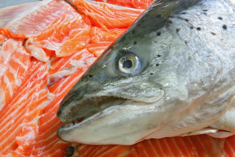 Het Ruwe Hoofd Van De Zalm Op Gesneden Zalmfilet Stock Afbeelding ...