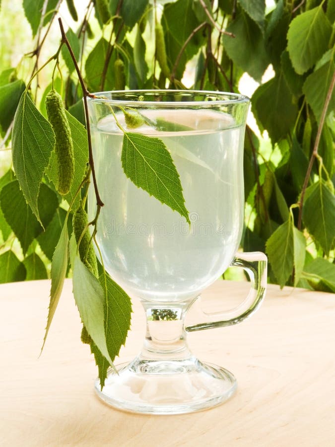 Het sap van de berk stock foto. Image of groen, hout - 14514564