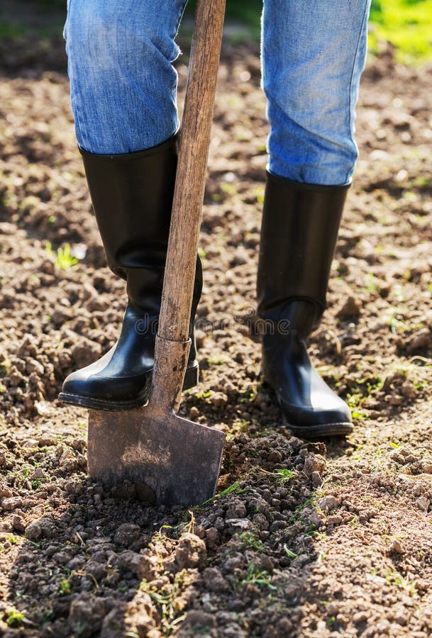Het Scheppen in De Tuin Bij De Lente Stock Foto - Image of schoppen ...