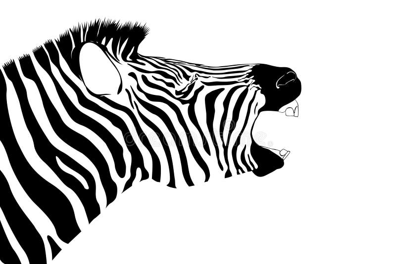 Portret Van Een Zebra, Met De Hand Getekend Met Potlood En Zonnebril ...