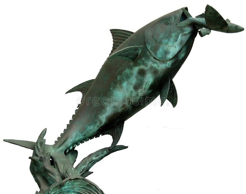 Springende Tonijn En Vliegende Vis Stock Foto - Image of eiland, club ...