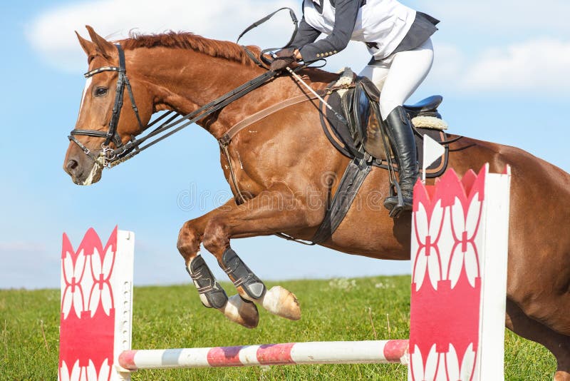 Paard Die Over Een Hindernis Springen Stock Foto - Image of ruiter ...