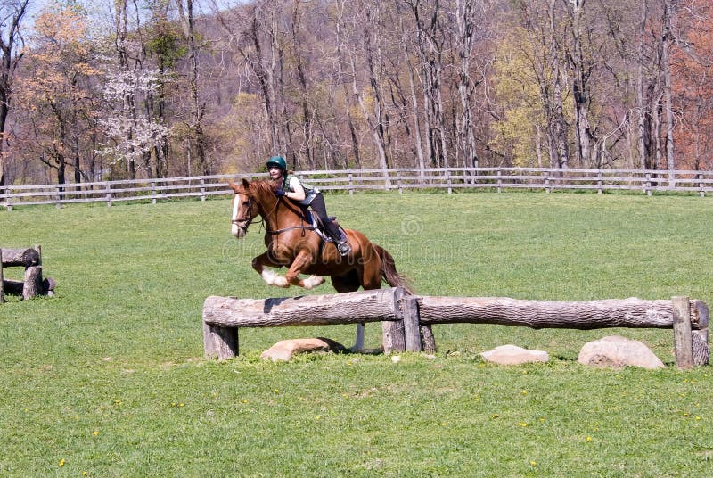Het Springen Paard Op Gebied Stock Afbeelding - Image of actief, vrouw ...
