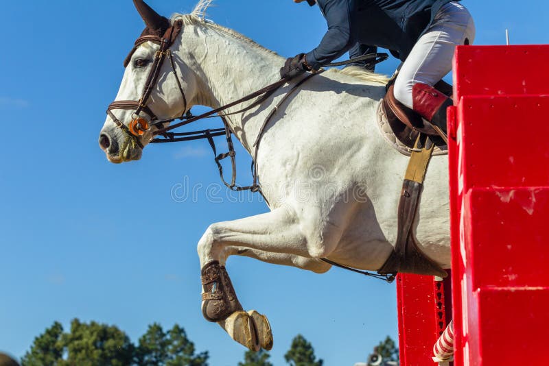 Het Springen Paard Rider Closeup Action Redactionele Afbeelding - Image ...