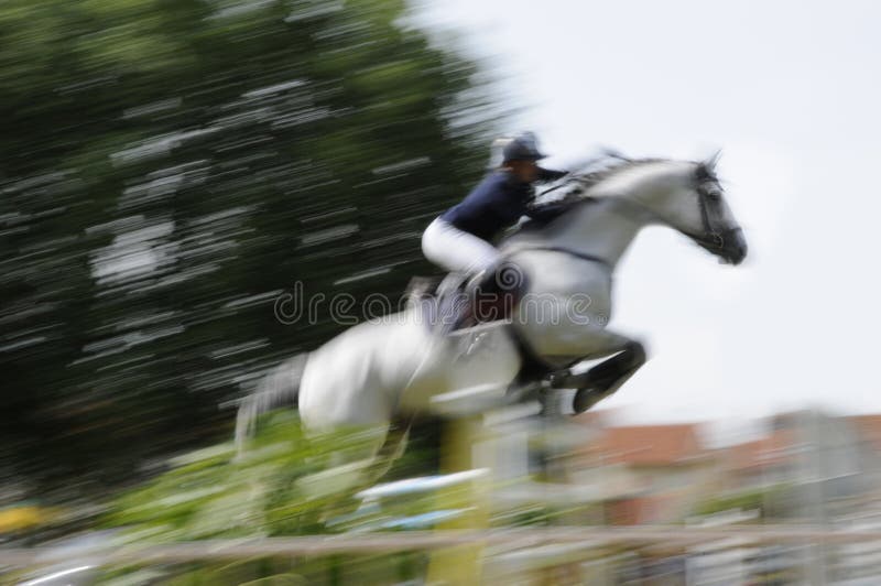 Het springen van het paard stock foto. Image of kluis - 2983320