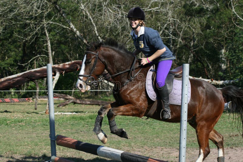 Springrijden stock foto. Image of beetje, teugel, mooi - 14416578