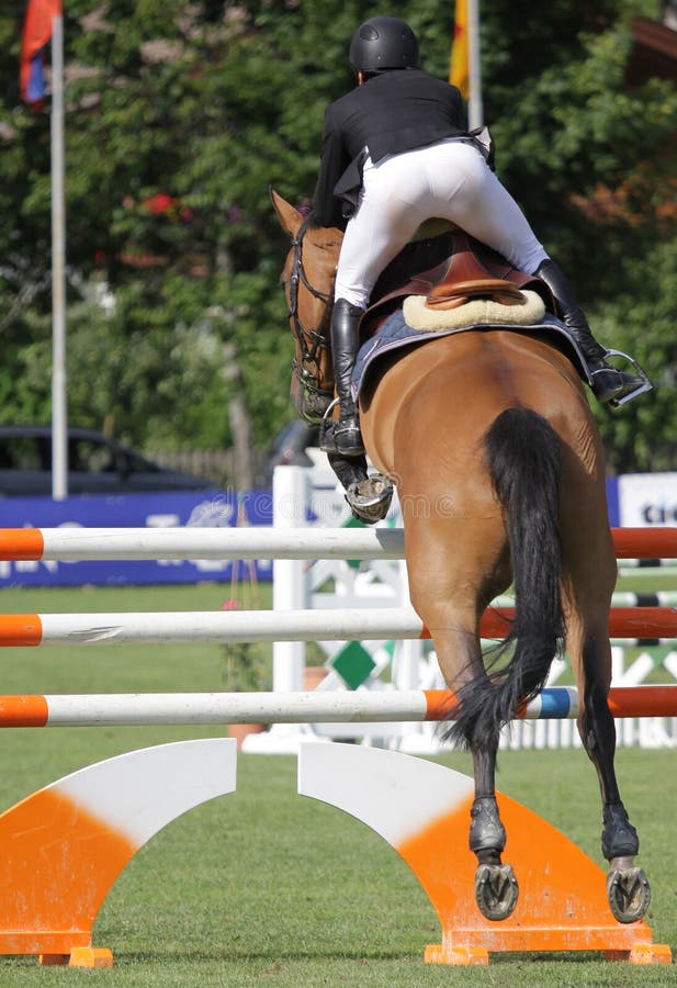 Het springen van het paard stock afbeelding. Image of paarden - 20412527