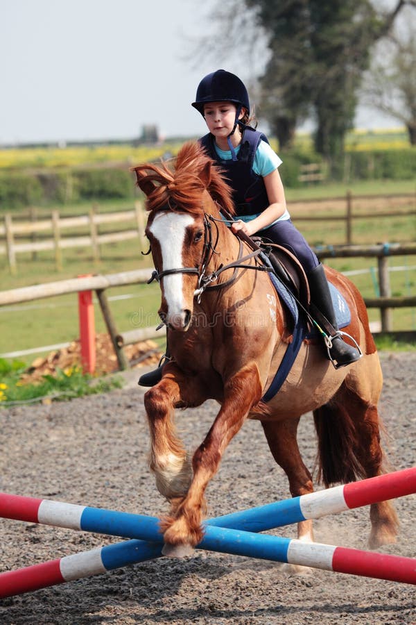 Springrijden stock foto. Image of opleiding, recreatie - 20662316