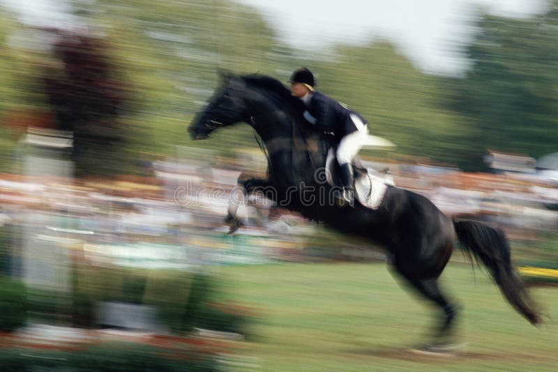 Het springen van het paard redactionele foto. Image of apparatuur ...