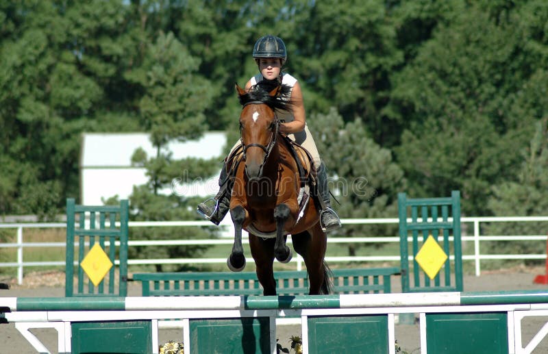 Het Springen van het paard stock foto. Image of concurrentie - 2975580