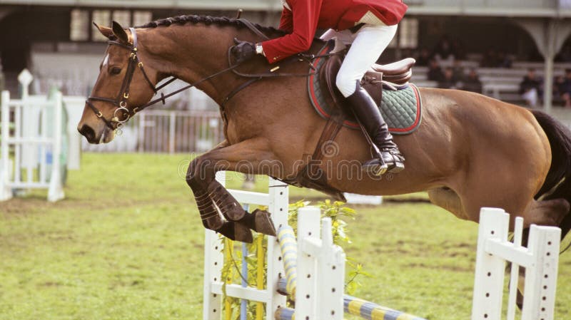 Het springen van het paard stock afbeelding. Image of kluis - 2978383