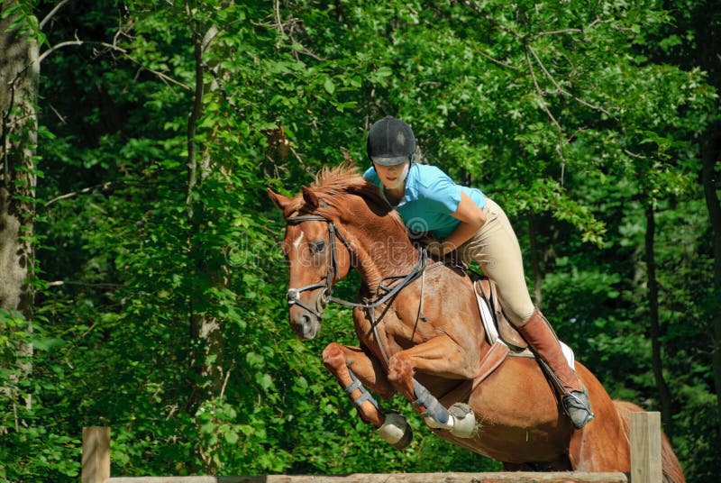 Het springen van het paard stock afbeelding. Afbeelding bestaande uit ...