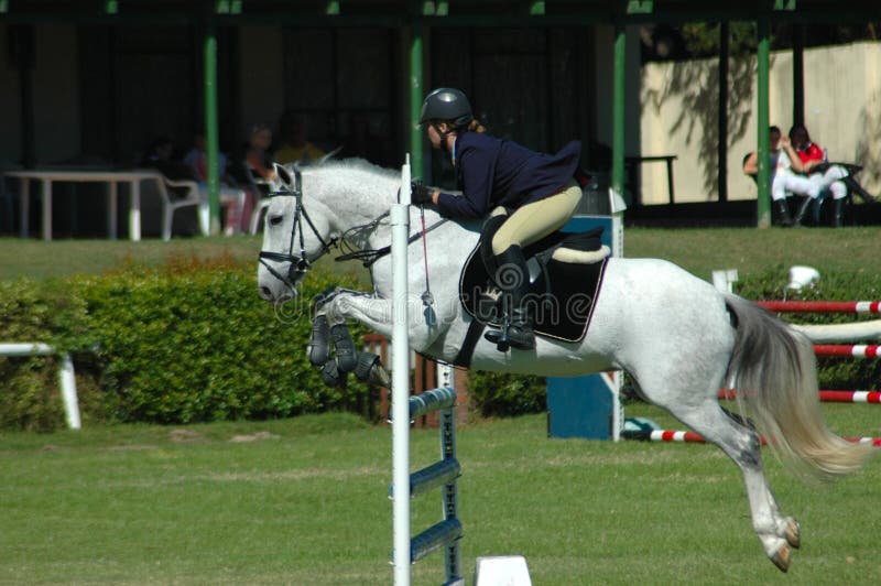 Paardenspringen stock afbeelding. Image of mooi, sprong - 2251441