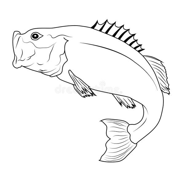 Springende Vis vector illustratie. Illustration of zwart - 35270234