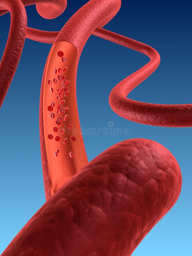 Slagader stock illustratie. Illustration of medisch, kliniek - 8691776