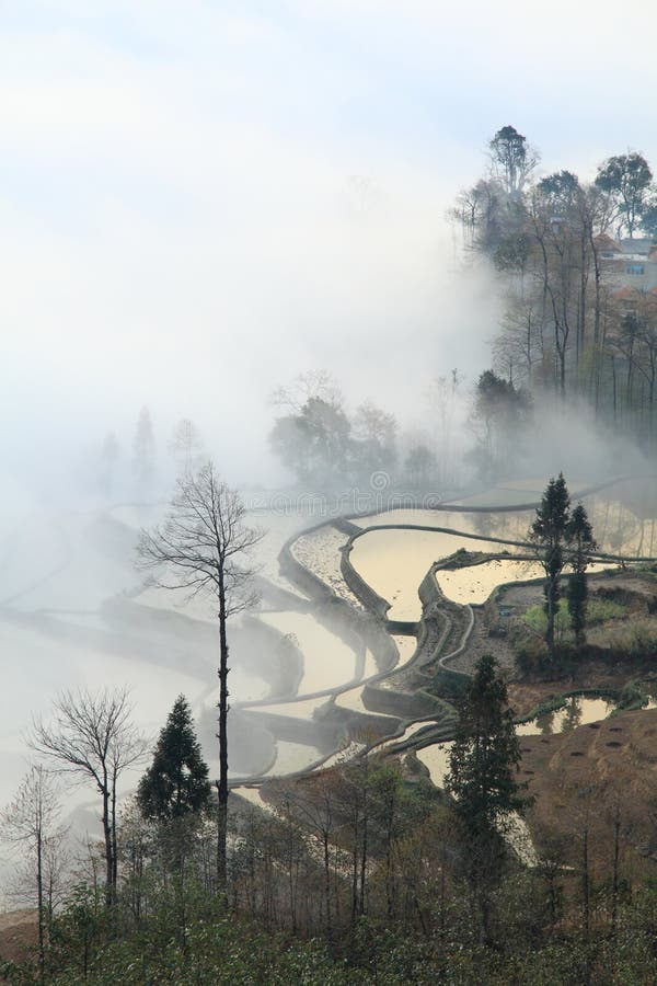 Het Terras Van Hani Paddyfield in Mist Stock Afbeelding - Image of ...