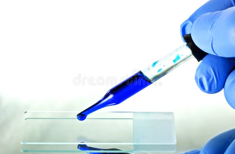 Het Testen Van Een Specimen Stock Afbeelding - Image of blauw ...