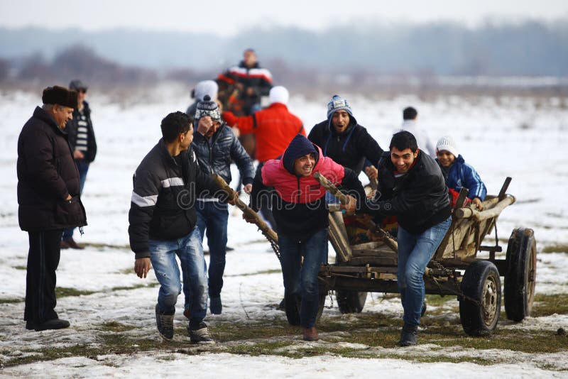 Het trekken van de kar redactionele afbeelding. Image of actief - 28556770