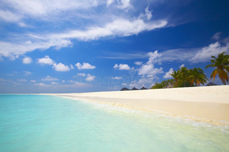 Het Tropische Strand Van Het Koraal Stock Afbeelding - Image of ...