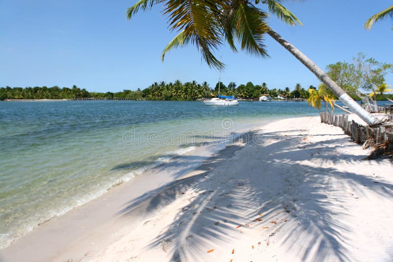 Het Tropische Witte Strand Van Het Zand Stock Afbeelding - Image of ...