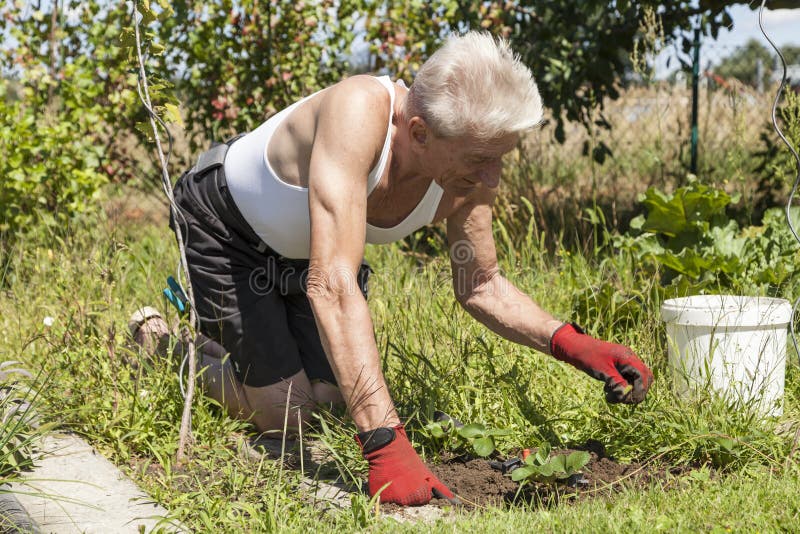 Het tuinieren stock foto. Image of één, tuinieren, leeftijd - 57498620