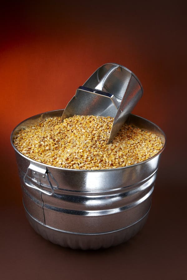 Het Graan van het voer stock afbeelding. Afbeelding bestaande uit ...