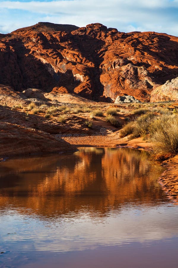 Het Water Van De Mojavewoestijn in Vallei Van Brand Stock Afbeelding ...