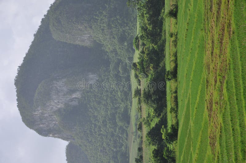 Het Weelderige Landschap Van Vinales, Cuba Stock Afbeelding - Image of ...