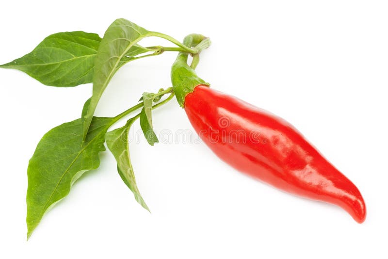 Hete Rode Spaanse Peper of Spaanse Peperspeper Stock Foto - Image of ...