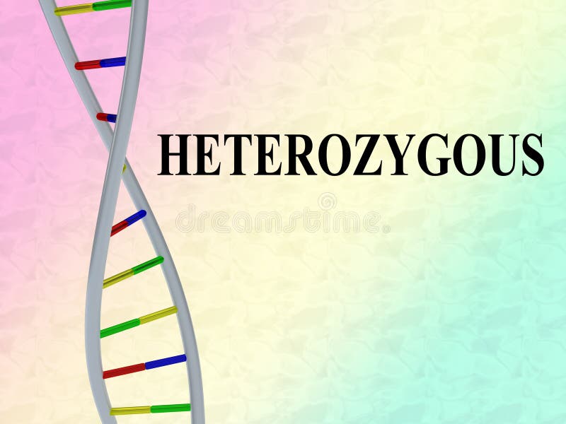 HETEROZYGOUS - Genetic Concept Stock Illustration - Illustration of ...