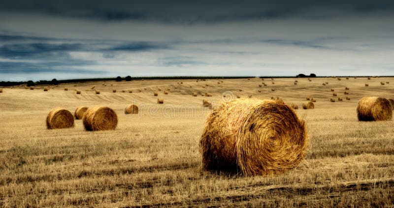 Heu-Ernte stockbild. Bild von kreis, landschaft, betrieb - 7259267
