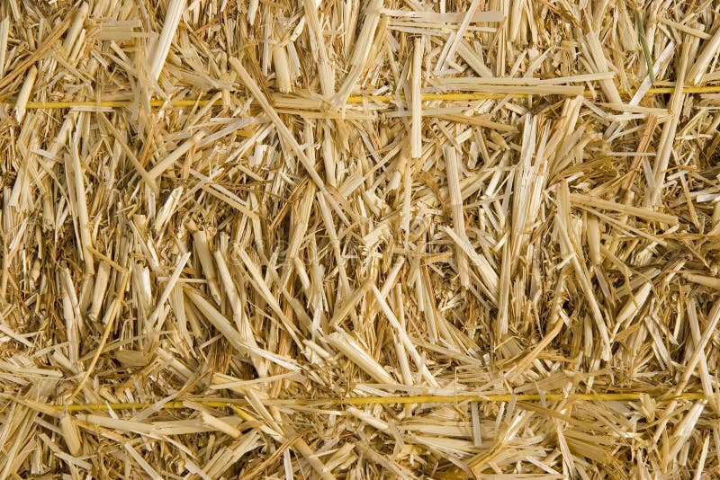 Heu-Hintergrund stockbild. Bild von steuerknüppel, betriebe - 1522713