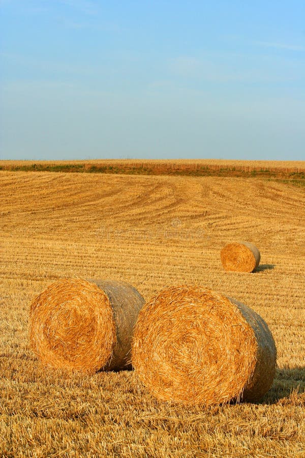 Heuballen stockfoto. Bild von landwirtschaft, ernte, landwirtschaftlich ...