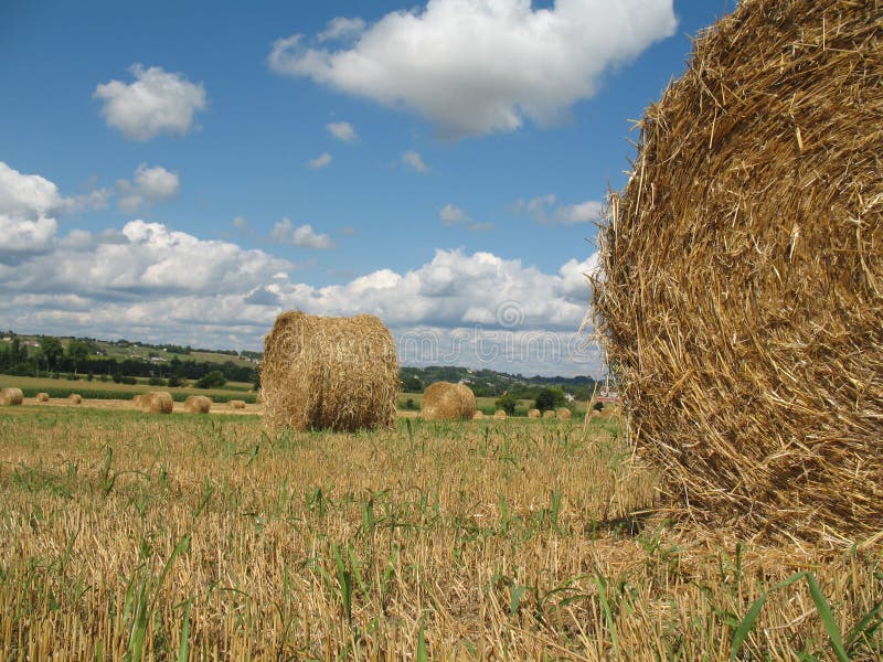 Heufeld stockfoto. Bild von ballen, hügel, bauernhof, virginia - 21280