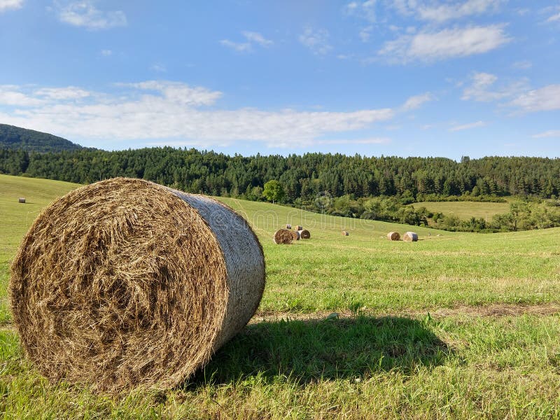 Heuballen Auf Der Wiese Im Herbst. Stockfoto - Bild von wolken ...