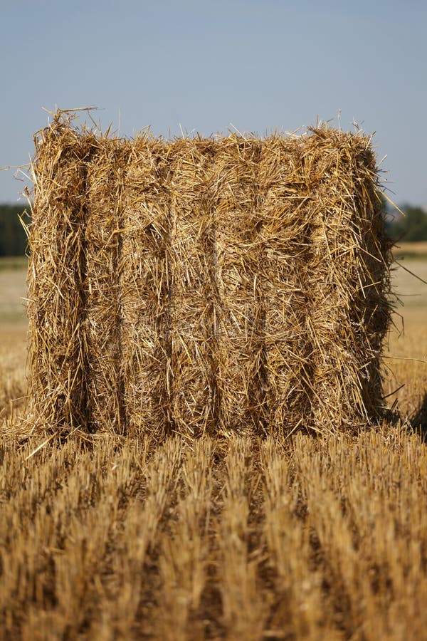 Stapel Heuballen stockfoto. Bild von jahreszeit, getreide - 26260846