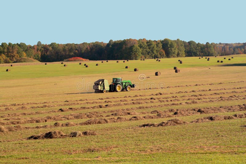 2,562 Heuen Stock Fotos - Freie & Royalty-Free Stock Fotos von Dreamstime