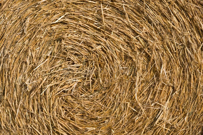 Heu-Hintergrund stockbild. Bild von null, weizen, frech - 20247803