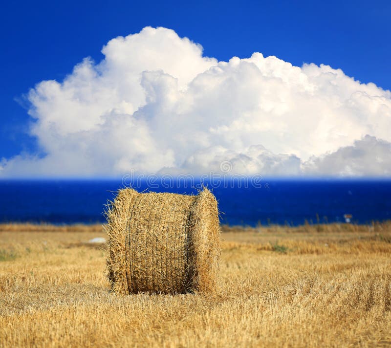 Heurolle auf Wiese stockfoto. Bild von gold, korn, wiese - 79743398