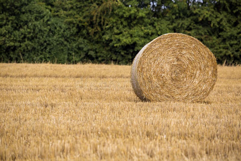 Zeit- Strohballen Der Ernte Auf Einem Gebiet Stockbild - Bild von ...