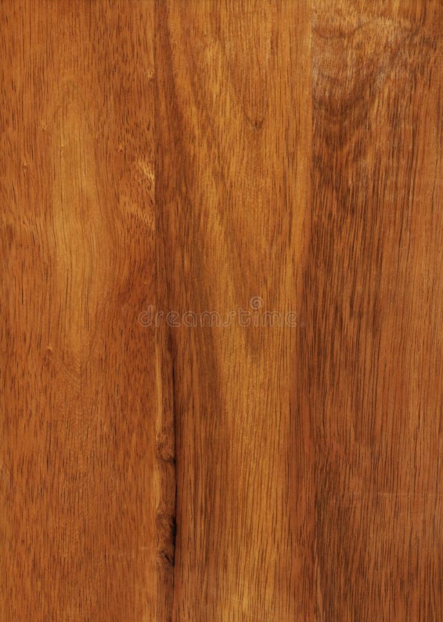 Hevea wood texture stock photo. Image of veneer, plank - 22453570