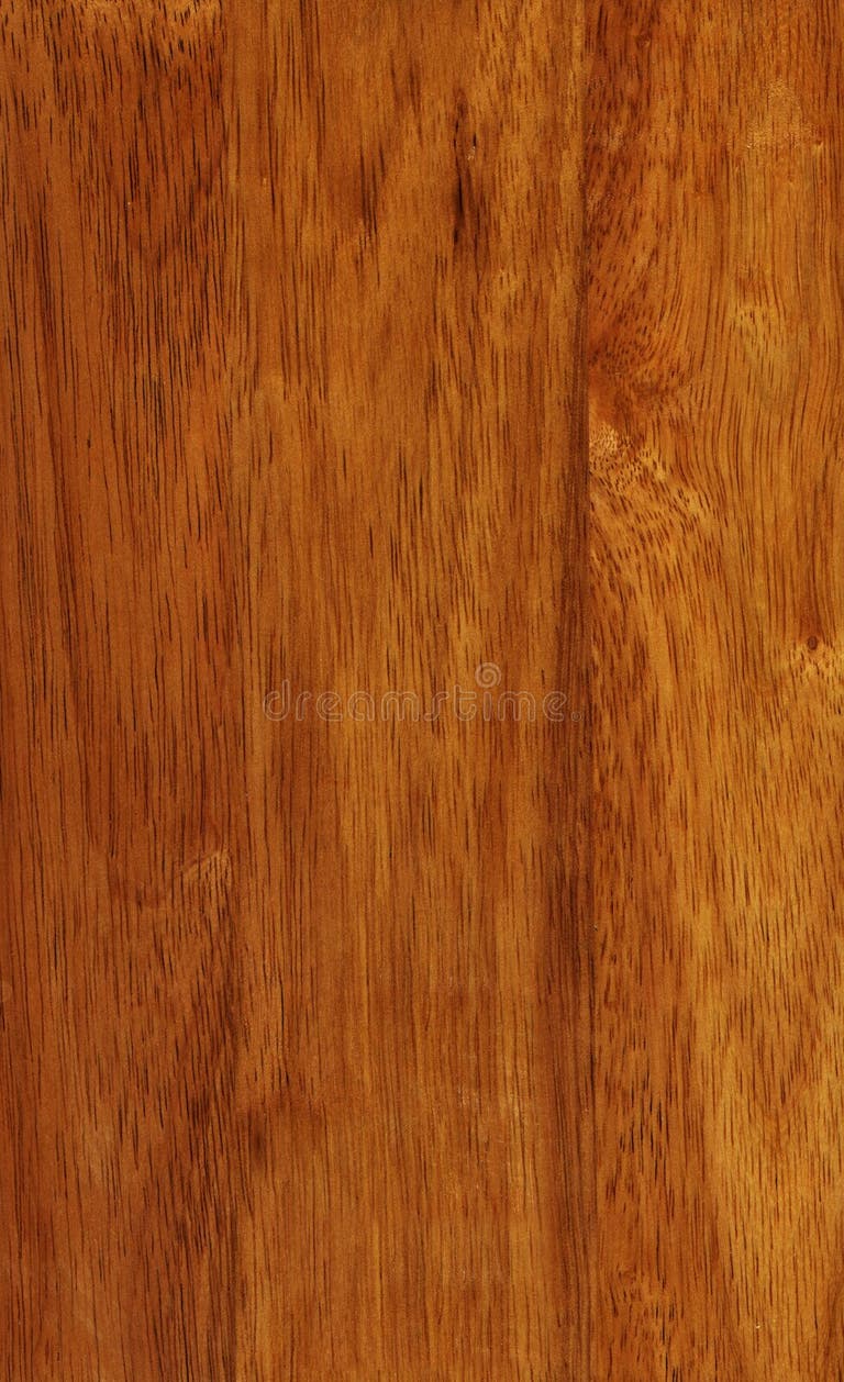 2,970 Hevea Stock Photos - Free & Royalty-Free Stock Photos from Dreamstime