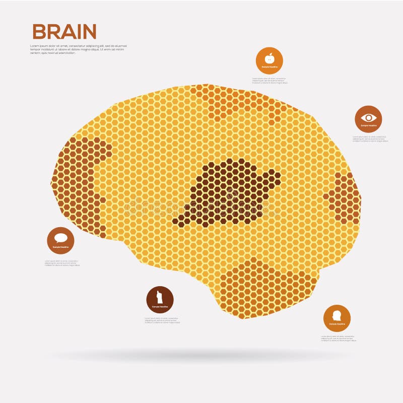 Hexagon Brain Hive. Infographics Stock Vector - Illustration of data, intelligence: 70733445